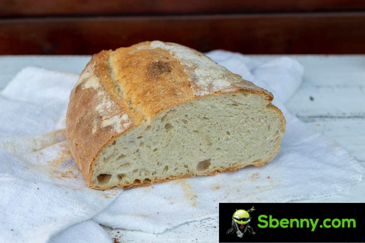 Cafone bread with sourdough, how to prepare it at home - Sbenny’s Blog