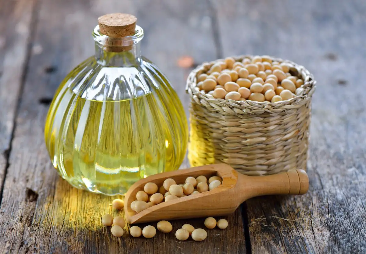 Soybean oil for the biological defense of plants. Properties, benefits ...