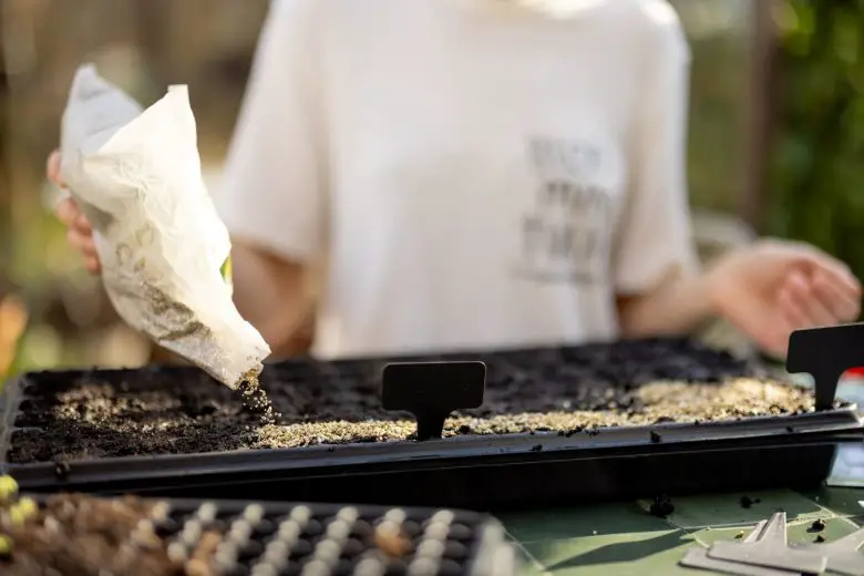 What is vermiculite and why is it useful for plants - Sbenny’s Blog